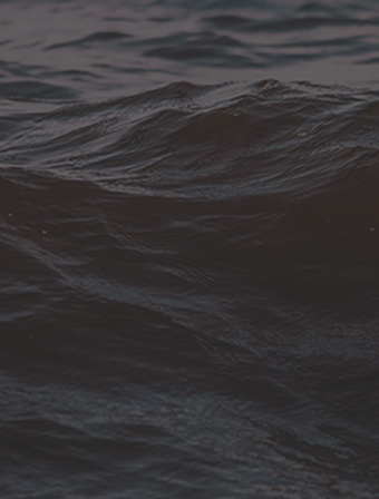 Coeli Total – Omfattande Strategifondlösningar | Coeli