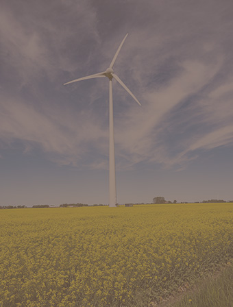 Coeli Circulus Micro & Small Cap – Aktieinvesteringar