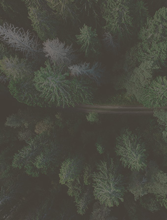 Coeli Private Equity AB – Expertis I Kapitalinvesteringar