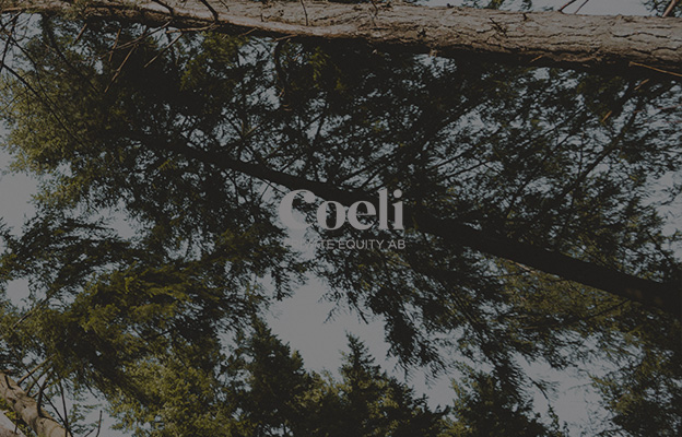 Guide För Investeringar 2025 | Coeli